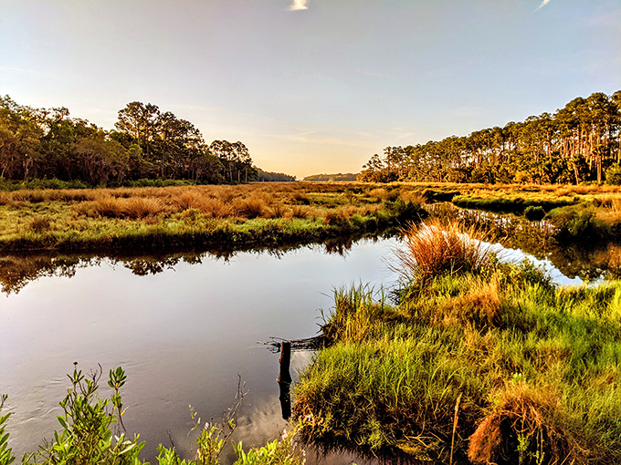 A wooden bridge crosses a cypress-lined creek at Bulow Creek State Park, where Spanish moss creates a dreamy atmosphere.