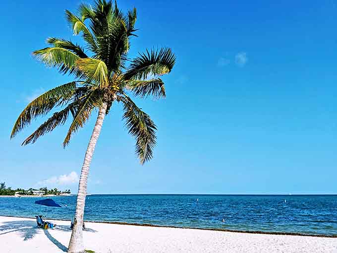 Sombrero Beach offers a perfect palm-lined paradise with powder-white sand and crystal clear waters in the Florida Keys.