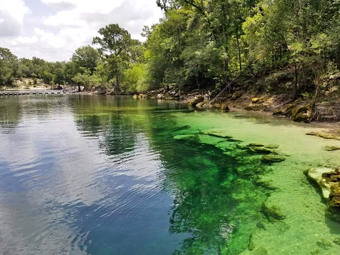 Troy Spring's emerald waters reveal underwater treasures, including limestone formations and historical artifacts.