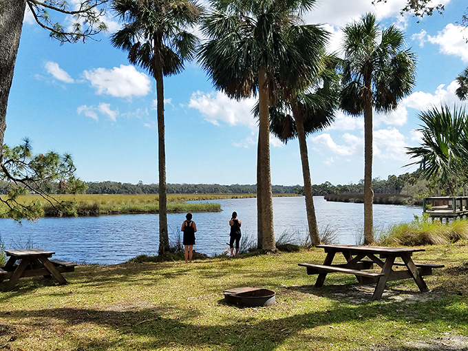 Ancient live oaks draped with Spanish moss create a dramatic canopy over a picnic area at Bulow Creek State Park.
