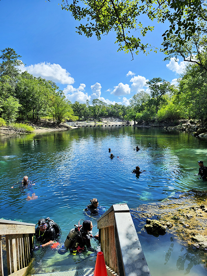 A wooden platform provides the perfect viewing spot for Troy Spring's remarkably clear waters.