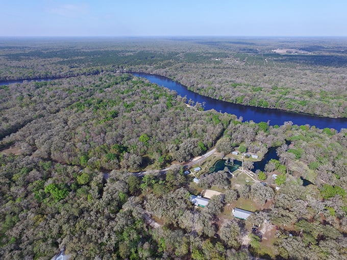The vast, green expanse of Florida's nature preserves, with the winding river and a lovely spring visible below.