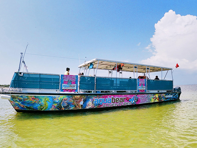 This vibrantly painted tour boat promises eco-adventures where dolphins play, birds soar, and memories are made on the crystal waters of St. Joseph Bay.