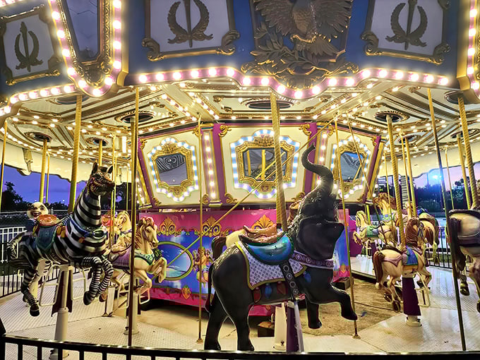 The vintage carousel spins in timeless glory, hand-painted horses rising and falling to the nostalgic melody of traditional organ music.