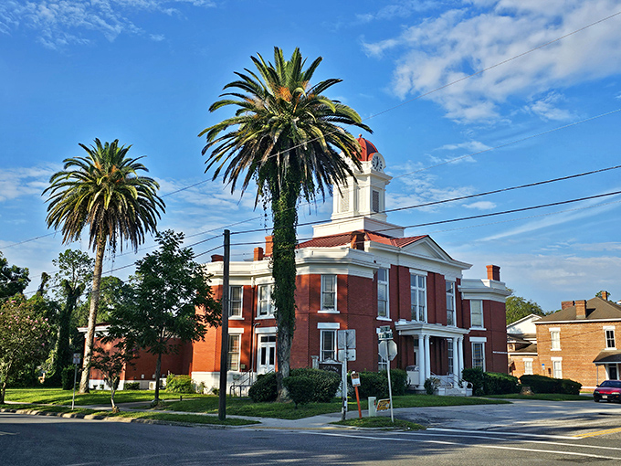 Emily Taber Public Library stands majestic against Florida's blue sky, housing more stories inside its walls than just those on the shelves.