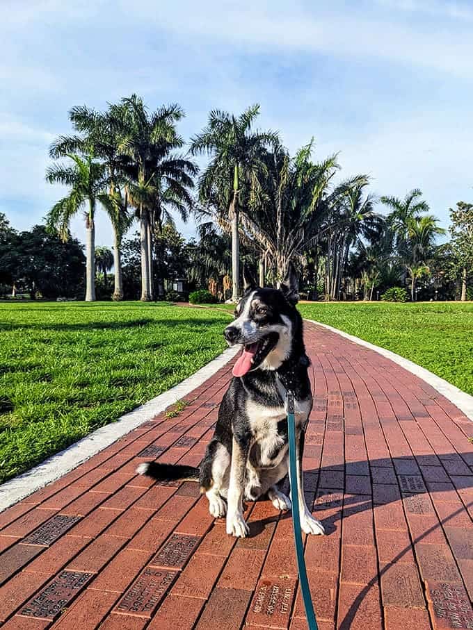 Four-legged friends are welcome to join the adventure, making this the perfect outing for the whole family, fur included.