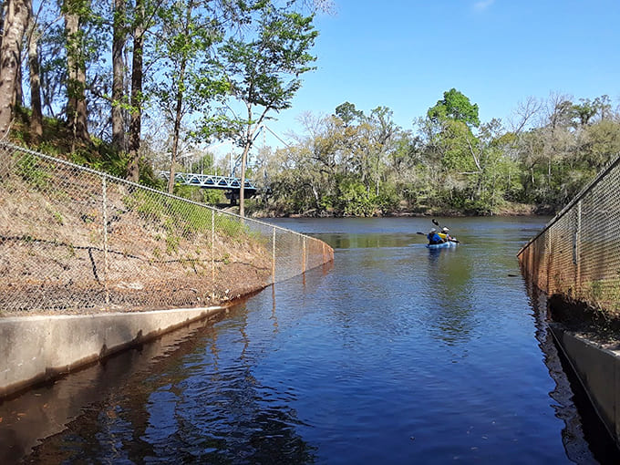 Paddling under the bridge gives you a whole new appreciation for the engineering, plus it's just plain fun to be on the water.