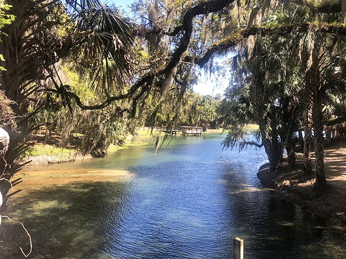 The spring's crystal waters reflect the surrounding forest like nature's own mirror, doubling the visual feast.