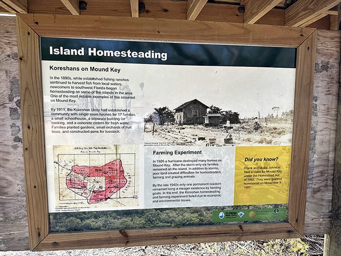 Homesteading on an island sounds romantic until you realize the nearest grocery store requires a boat trip.