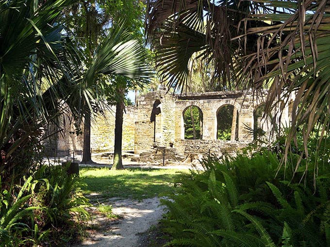 Palm fronds frame ancient stonework perfectly, creating compositions that practically photograph themselves in any season or lighting condition available.