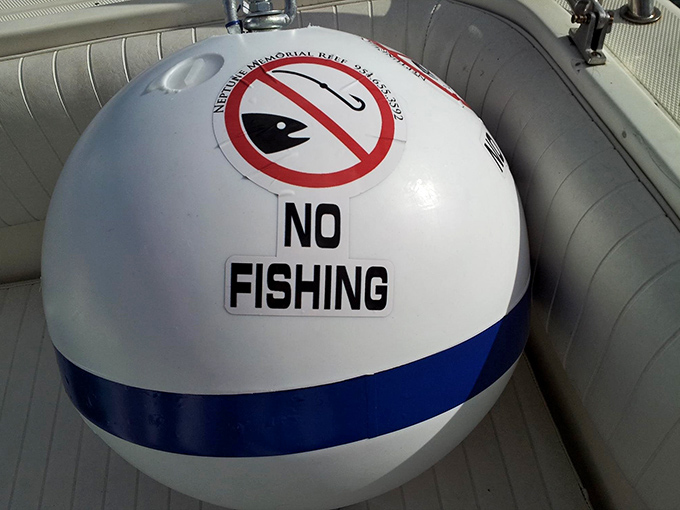 These "No Fishing" buoys protect the sanctuary status of Neptune Memorial Reef, ensuring this underwater neighborhood remains safe for all its scaled and shelled residents.