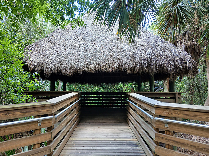 Thatched-roof luxury in the wild. This palm-roofed pavilion offers the perfect blend of rustic charm and practical shade for your wetland adventures.
