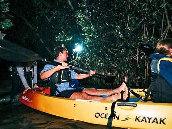 The adventure begins as paddlers with colorful safety lights push off into the gathering darkness, hearts racing with anticipation.