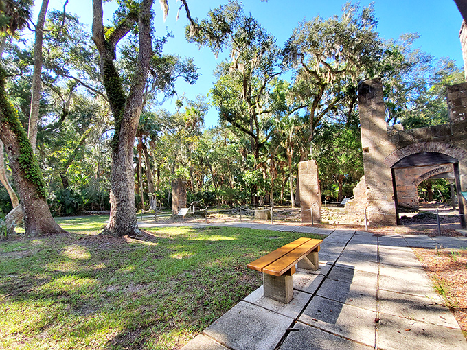 A peaceful bench awaits beneath cathedral-like branches, offering contemplation with a side of historical perspective.