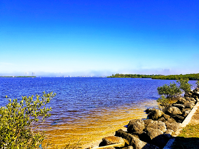 Where golden shoreline meets azure waters, Port Orange reveals its natural palette – no filter needed for this Instagram-worthy scene.