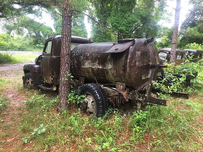 Once it carried liquid cargo across Florida's highways; now this tanker truck carries only the weight of passing years.