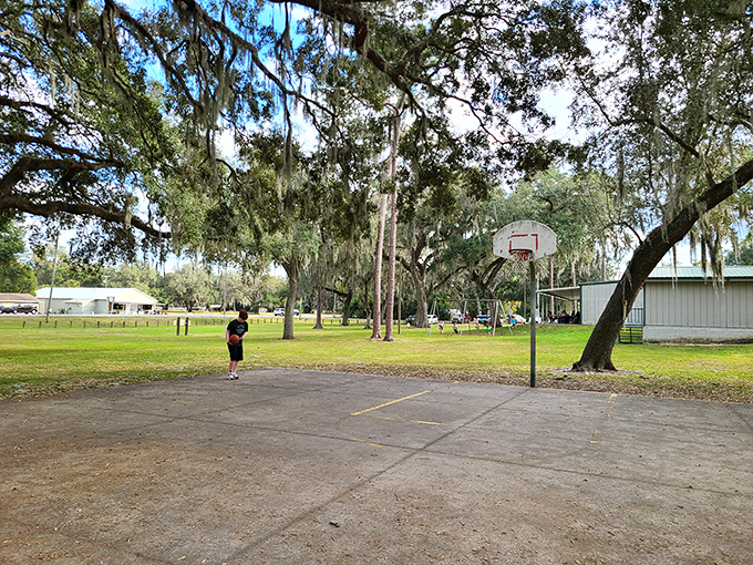 Shepard Park's basketball court transforms into community central each evening, where pickup games continue until players can barely see the ball.