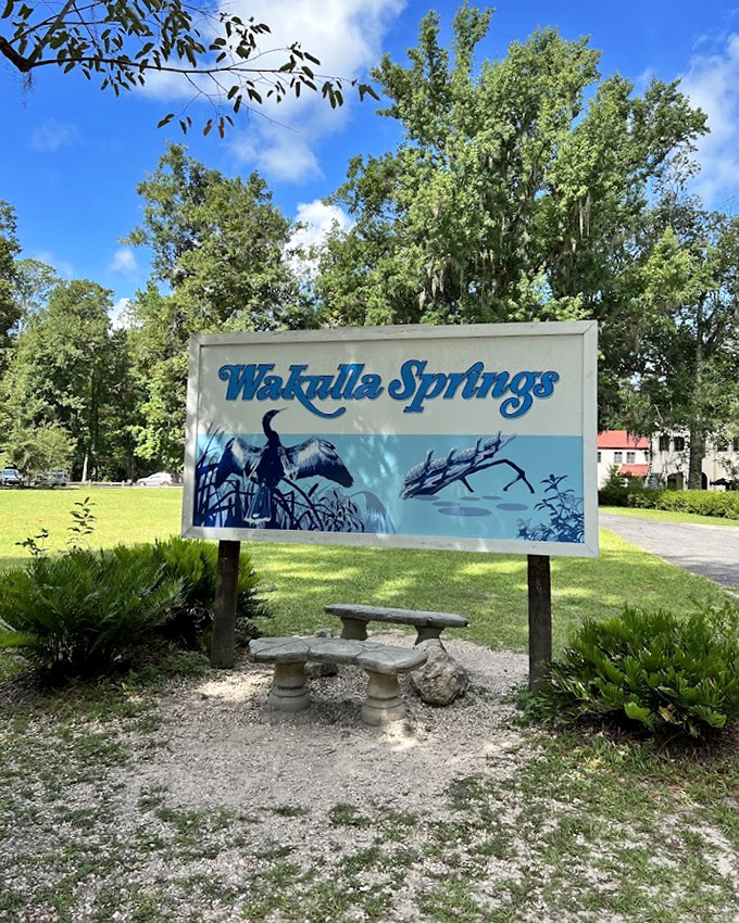 The Wakulla Springs sign doesn't just mark an entrance &ndash; it's the doorbell to one of Florida's most remarkable natural living rooms.