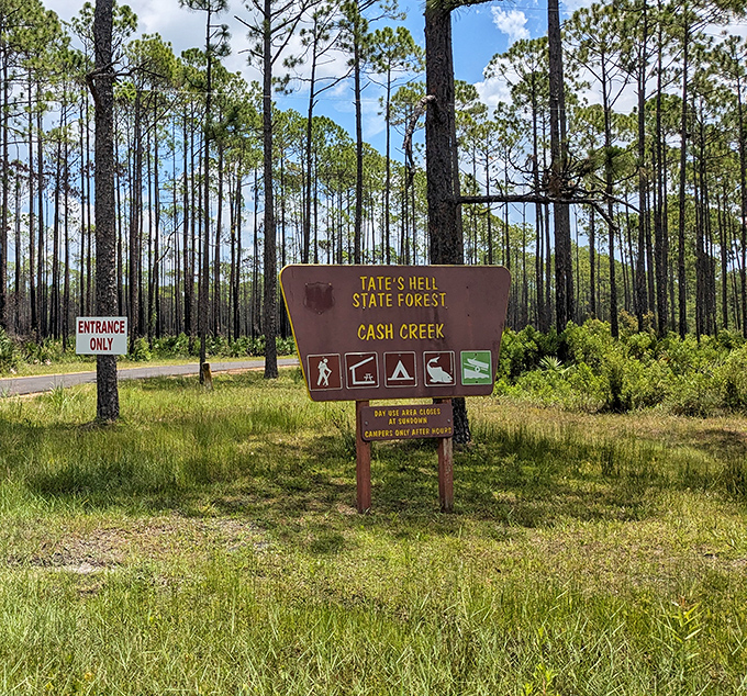 Welcome to Tate's Hell State Forest, where this unassuming sign marks the boundary between everyday life and wild Florida adventure.