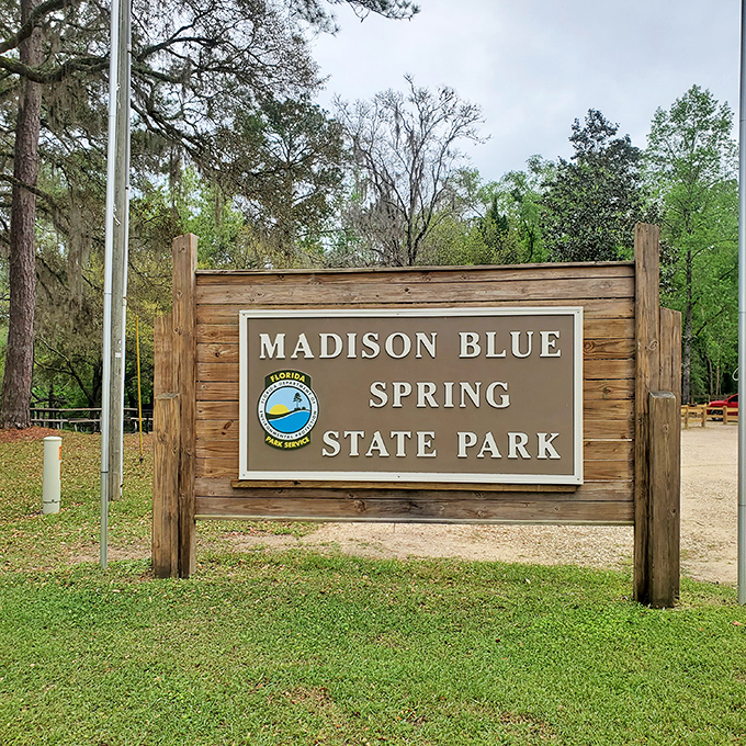The park entrance sign welcomes visitors to one of Florida's most precious natural treasures, promising adventures that never disappoint.