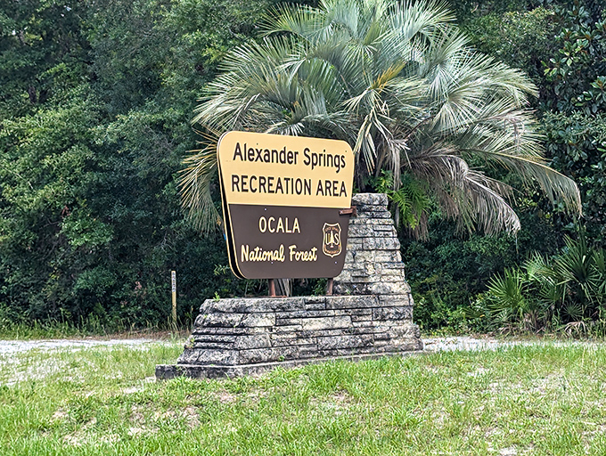 The official welcome sign to Alexander Springs &ndash; where Ocala National Forest protects one of Florida's aquatic treasures.