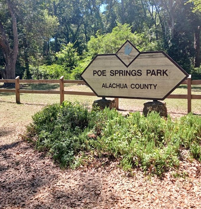 The park's entrance sign stands as a promise of natural wonders waiting just beyond, where Alachua County showcases its liquid jewel.