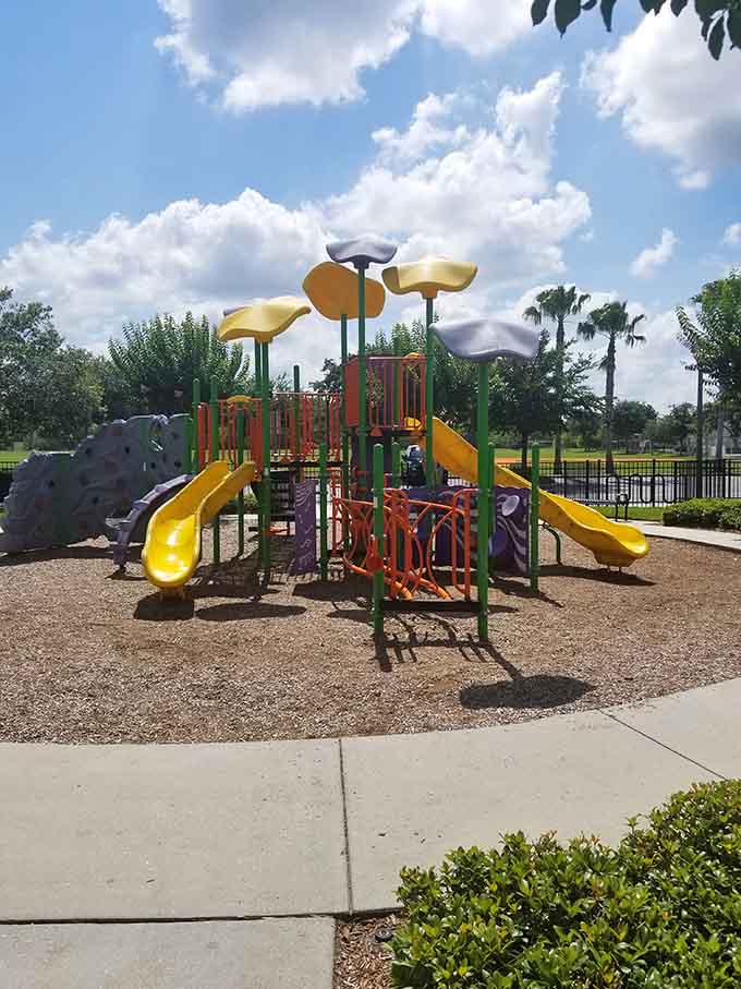 Colorful playground equipment beckons like a carnival, promising adventures that don't require tickets, just imagination and energy to burn.