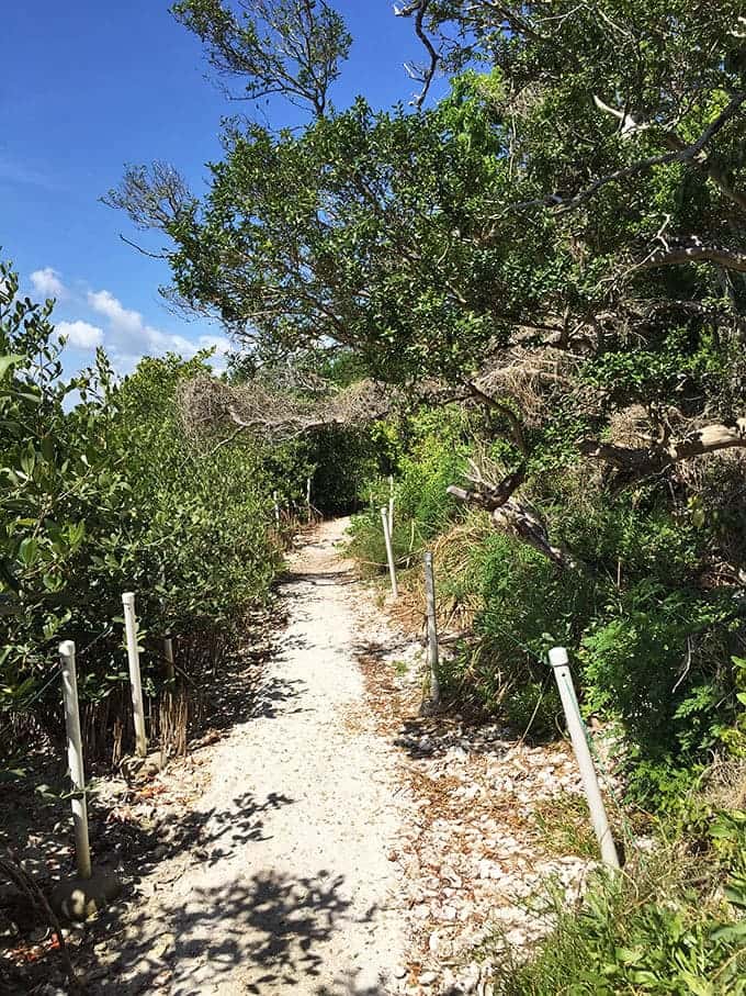 Sandy nature trails wind through the hammock, inviting exploration and promising the kind of peaceful walk that makes you forget your phone exists.