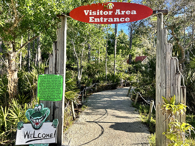 The entrance beckons with the promise of adventure &ndash; like crossing the threshold between ordinary tourism and authentic exploration.