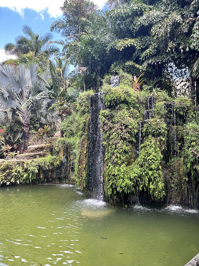 Outdoor seating areas invite visitors to relax and enjoy the tropical surroundings while sipping on exotic fruit wines.