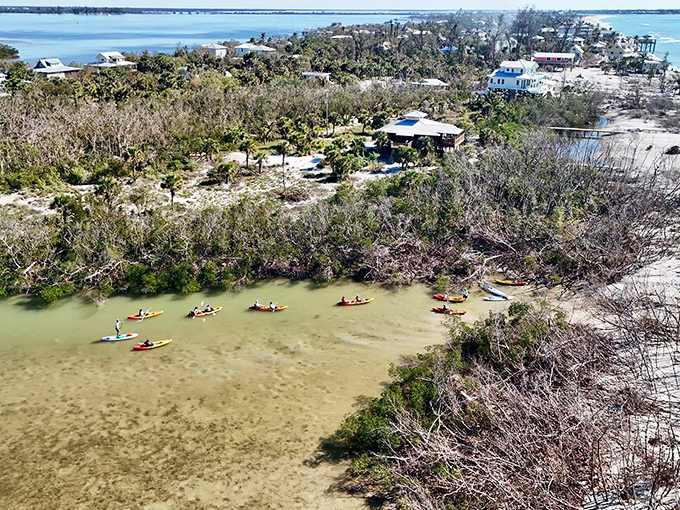 Bird's eye bliss: An aerial view reveals kayakers exploring the shallow waters surrounding Don Pedro Island, a patchwork of blues and greens.