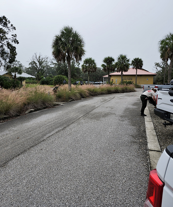 The parking area welcomes visitors with native grasses and palms, a first taste of the authentic Florida experience that awaits beyond.