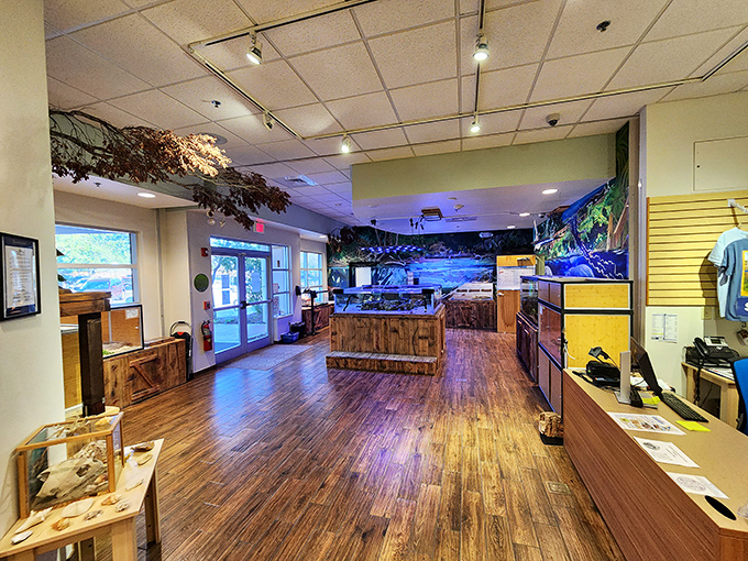 Warm wood tones and natural light welcome visitors to the center's interior, where Florida's ecosystems come alive through exhibits.