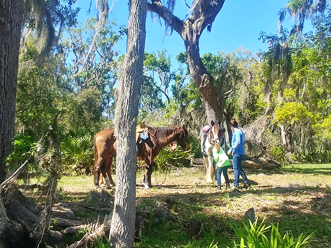 Horseback riding through Bayard connects visitors to Florida's frontier past, when trails were highways and hoofbeats the soundtrack of travel.