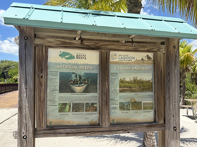 Educational displays tell the story of local marine ecosystems, though the real education happens when you put your face in the water.