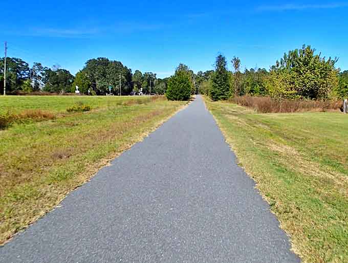 This well-maintained path cuts through open fields, where the big Florida sky becomes part of the trail experience.