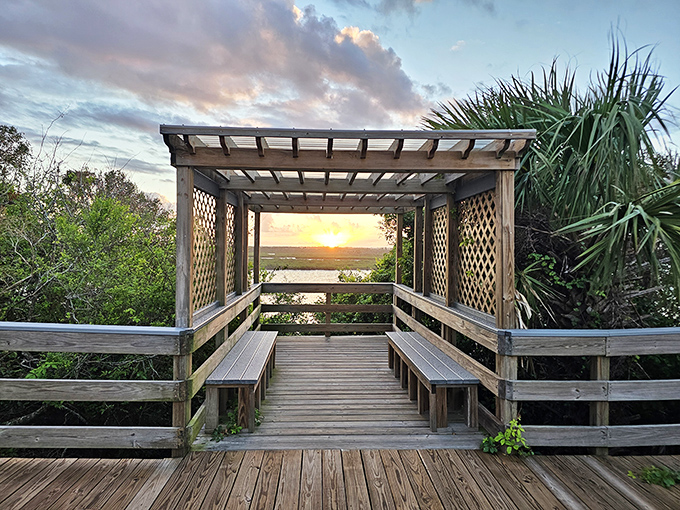 An observation deck frames the perfect sunset &ndash; nature's farewell performance that outshines any theme park's closing show.