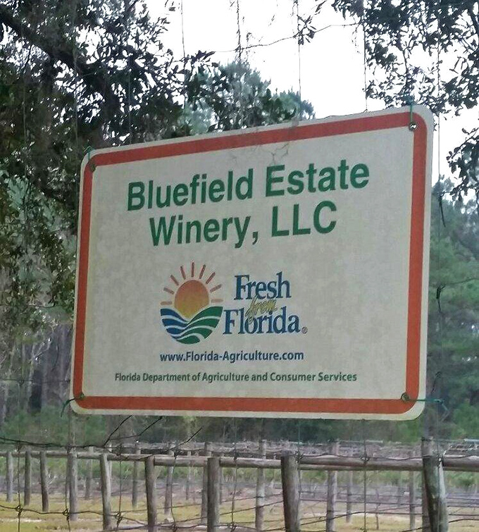 The official welcome: This unassuming sign marks the entrance to a world where Florida agriculture and winemaking artistry meet beautifully.
