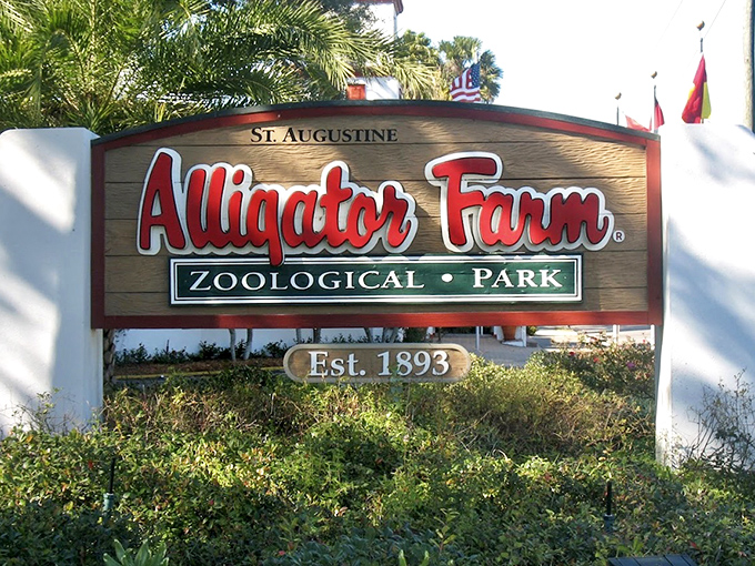 Established in 1893, the iconic sign welcomes visitors to one of Florida's oldest continuously operating attractions, promising encounters with some of nature's most impressive reptiles.