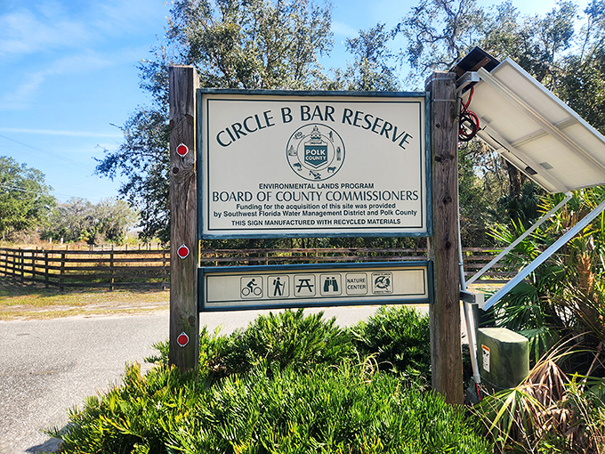 The Circle B Bar Reserve sign stands as a gateway to wilderness adventures, promising encounters with Florida's most fascinating residents.