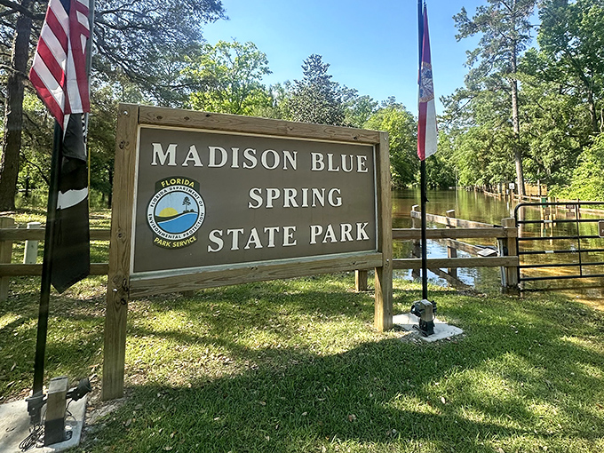 Where two flags stand at attention, greeting visitors to what might be Florida's most perfect natural swimming hole.