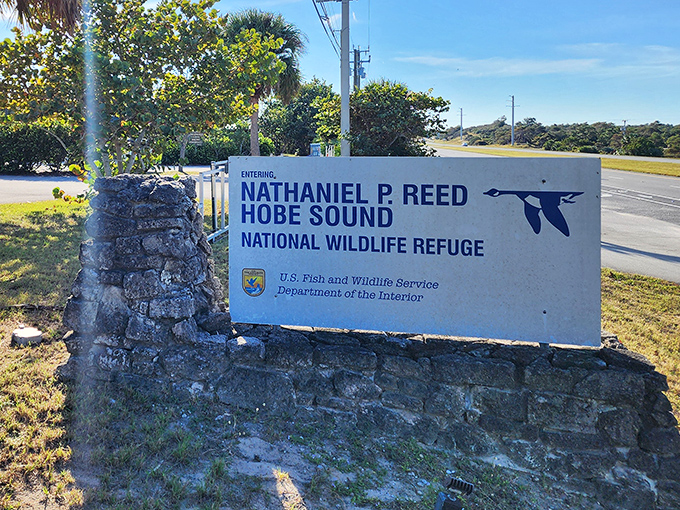 The refuge entrance sign stands as a promise &ndash; beyond this point, Florida's wild beauty remains protected for generations to come.