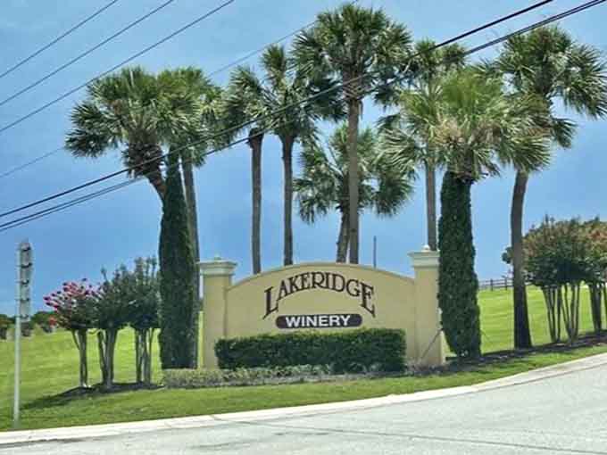 The iconic entrance sign framed by towering palms announces your arrival at Florida's wine country – an unexpected delight in the Sunshine State.