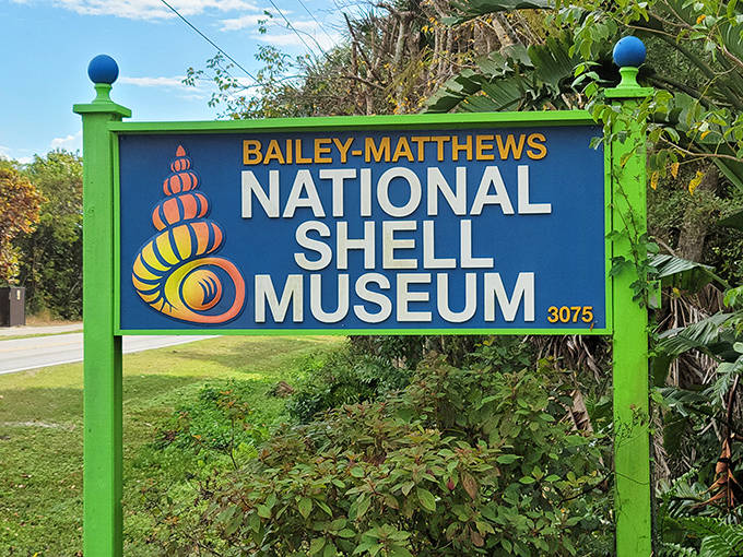 The museum's colorful signage welcomes shell enthusiasts and curious travelers alike, promising a deep dive into one of nature's most beautiful creations.