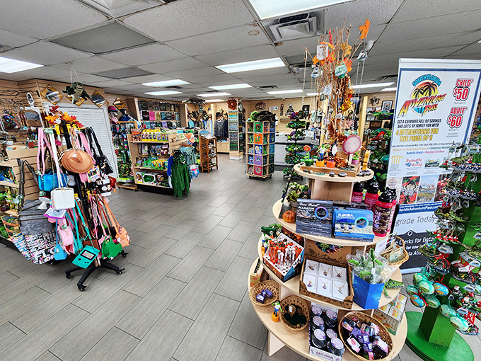 The souvenir shop offers treasures ranging from tasteful to tacky, ensuring everyone finds the perfect memento of their Everglades adventure.