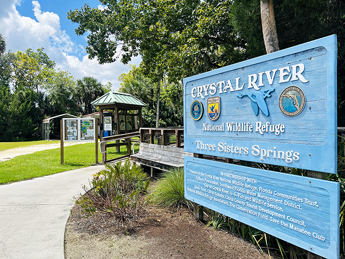 The Crystal River National Wildlife Refuge welcomes visitors to a world where conservation and wonder go hand in hand.