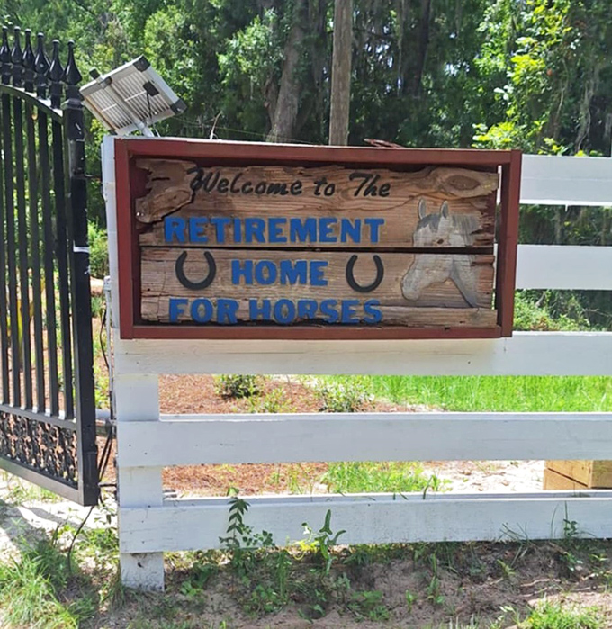 The entrance sign says it all &ndash; this is no ordinary farm, but a purpose-built sanctuary where horses enjoy their golden years.