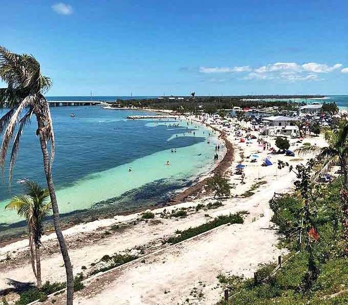 Look down on the vibrant, multi-toned blue waters of this tropical cove, where palm trees and sandy paths await you.