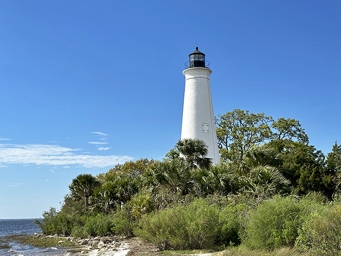 St. Marks Lighthouse stands like a white sentinel against a backdrop of coastal marshlands, a peaceful scene that feels far removed from the modern world.