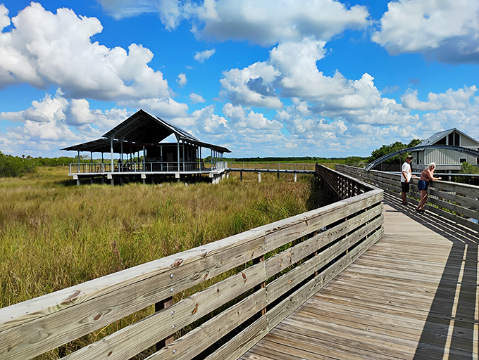 Palm trees line the shore at Fakahatchee Strand Preserve State Park, where the water reflects the clouds above.